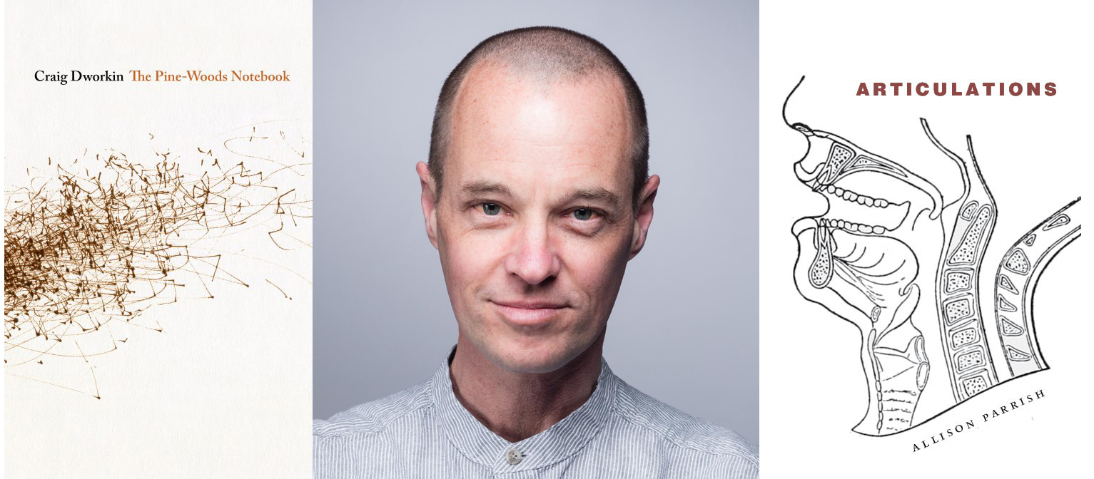 Craig Dworkin Reads from The Pine-Woods Notebook and Allison Parrish’s ...