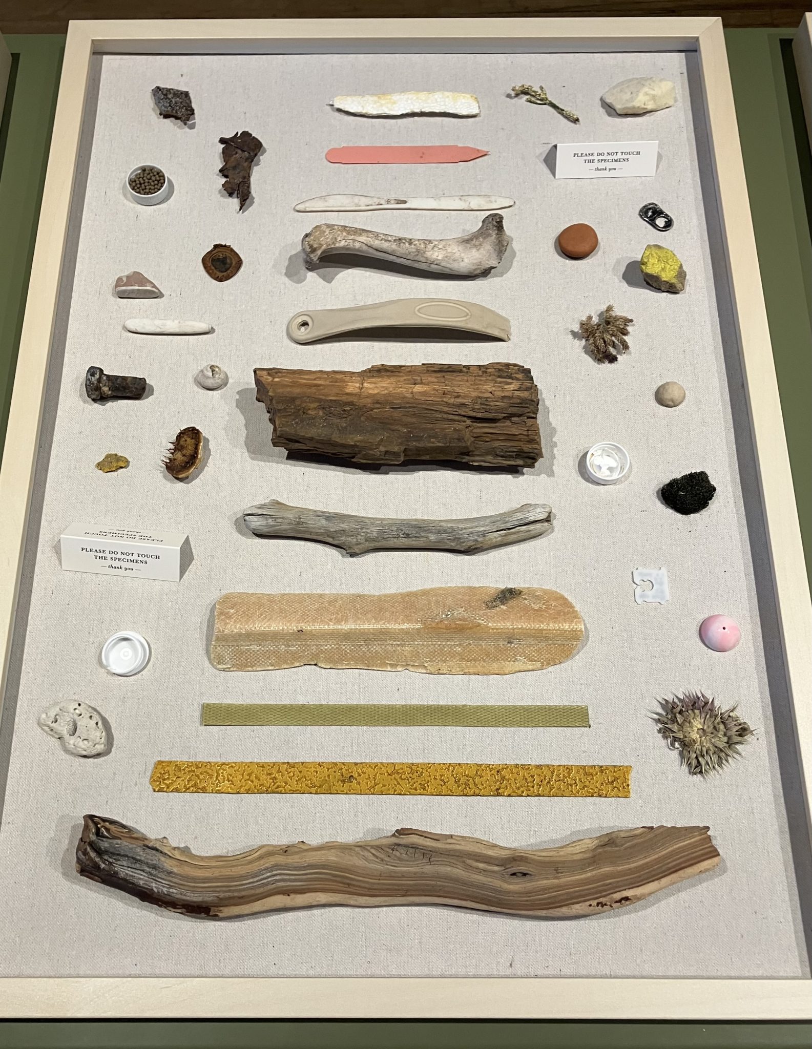 Specimens – Artists of Utah's 15 Bytes